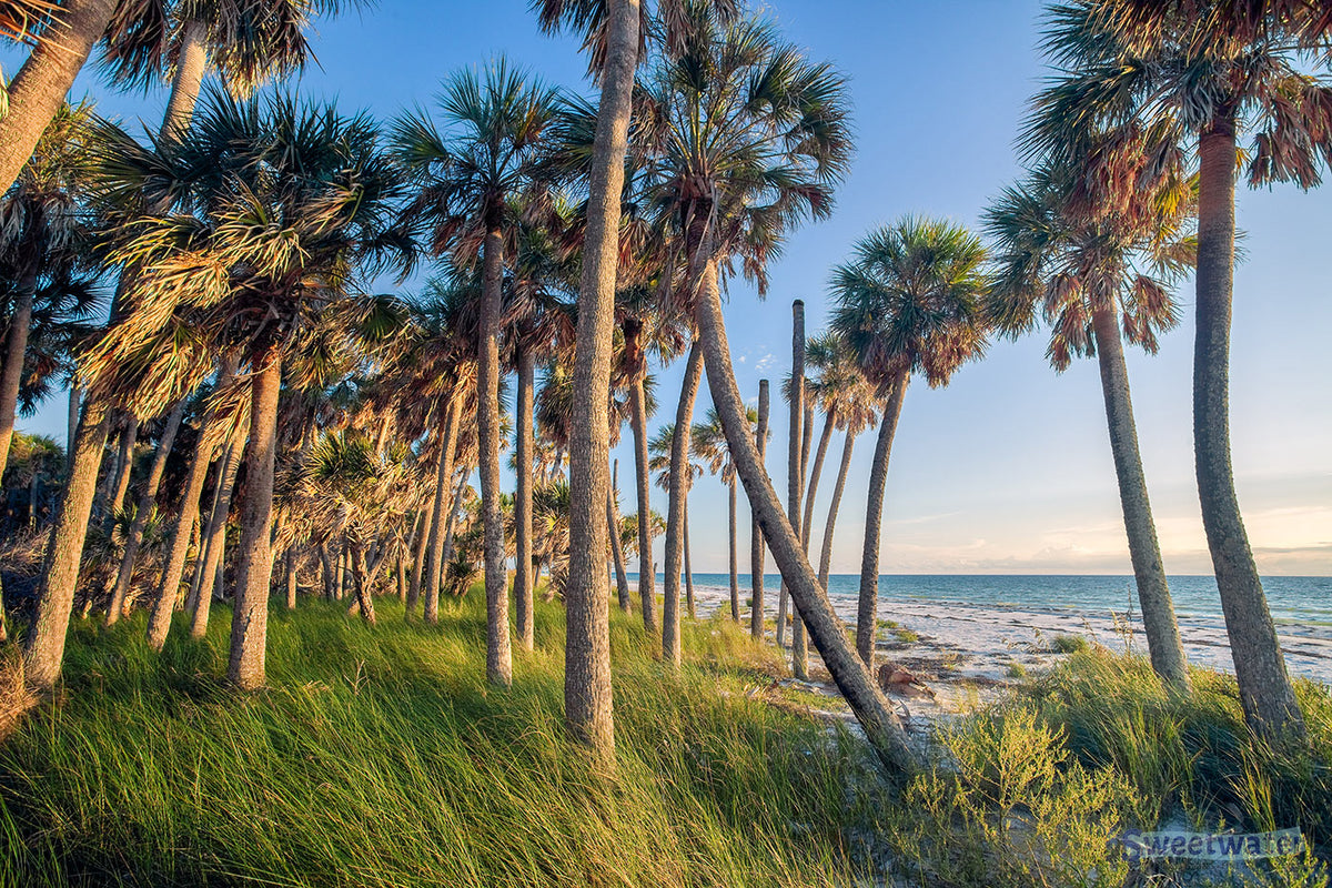 Anclote Key - Fine Art Print - John Moran Florida Nature Photography ...