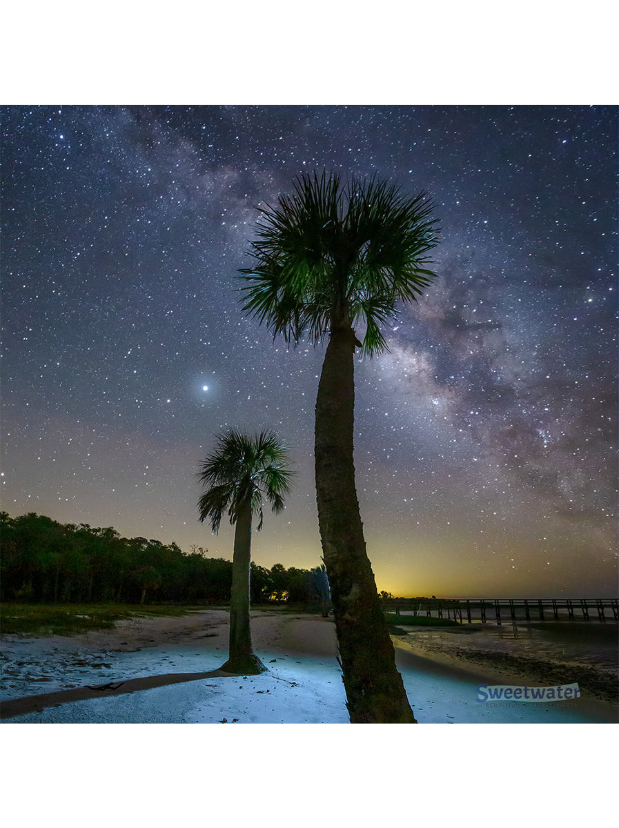 Beach of Stars - Fine Art Print - John Moran Florida Nature Photography ...