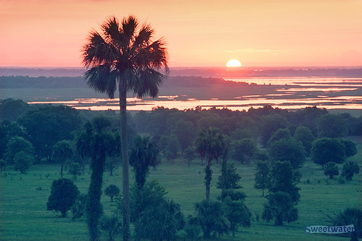 Day Begins Anew • Orange Lake - Fine Art Print - John Moran Florida ...