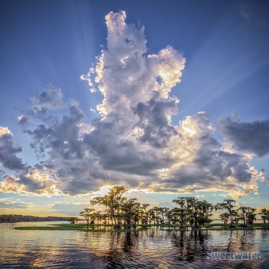 Heaven's Gate • Lake Santa Fe - Fine Art Print - John Moran Florida ...
