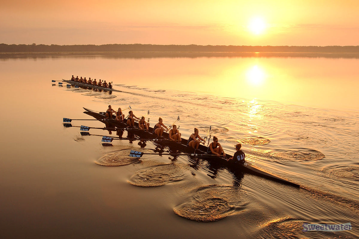Joy of Rowing - Fine Art Print - John Moran Florida Nature Photography ...