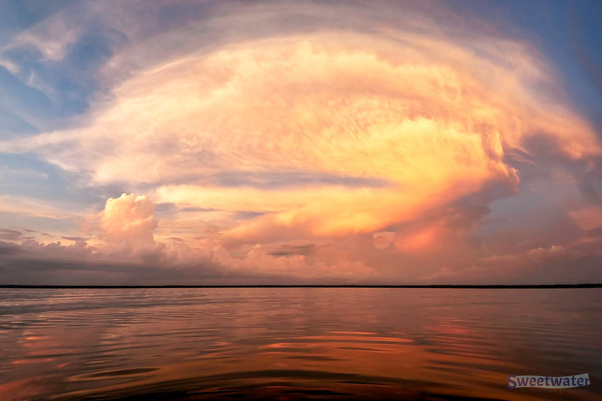 Study in Orange and Blue - Fine Art Print - John Moran Florida Nature ...
