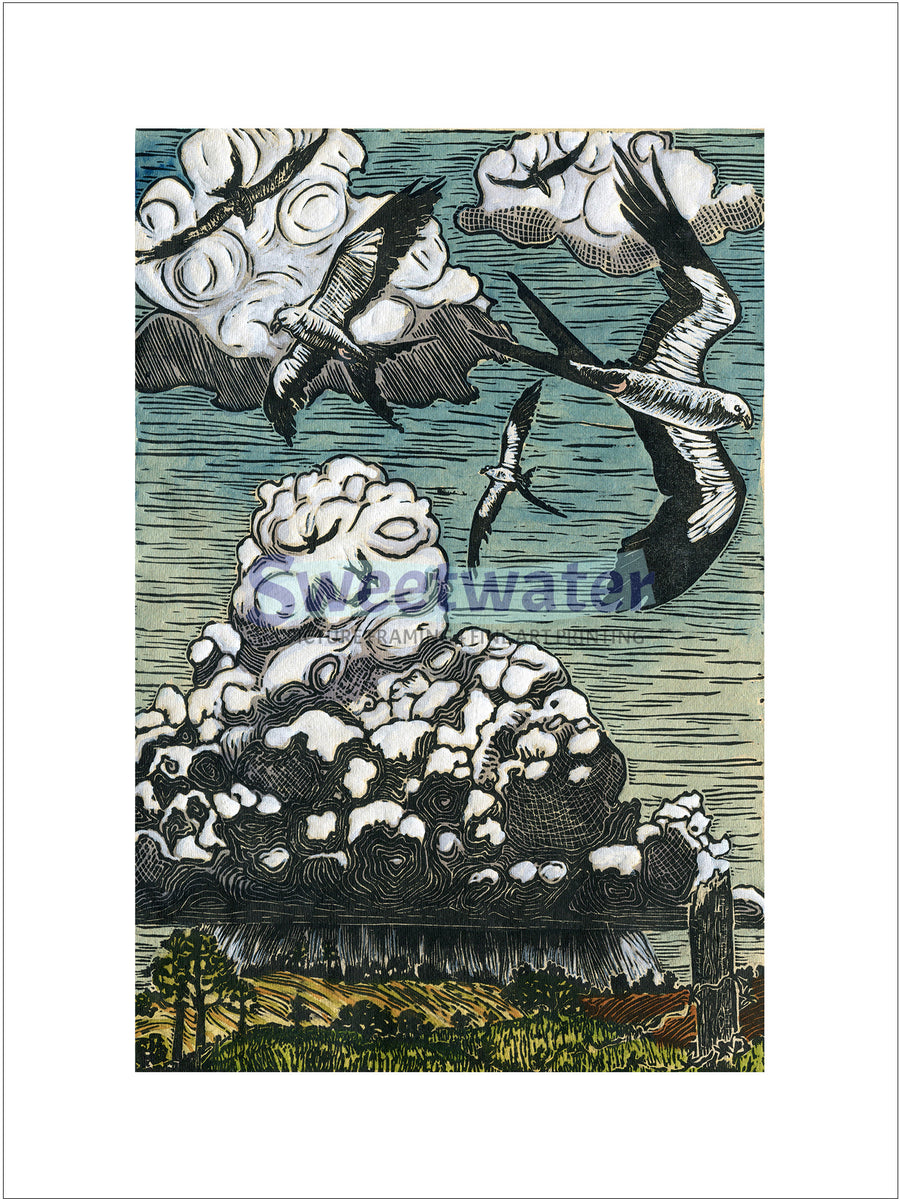 Swallowtail Kites Art Print - Leslie Peebles, Print Maker – Sweetwater ...